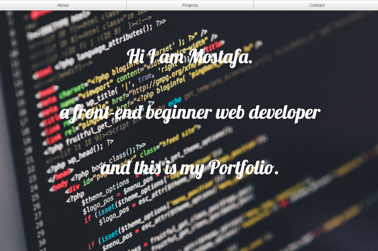 Mostafa Hesham portfolio